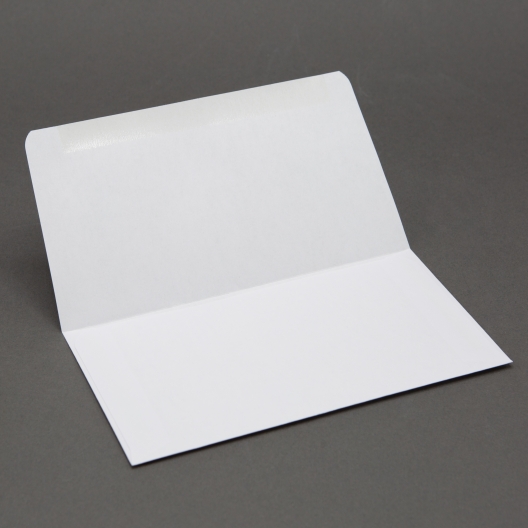 remit envelope size