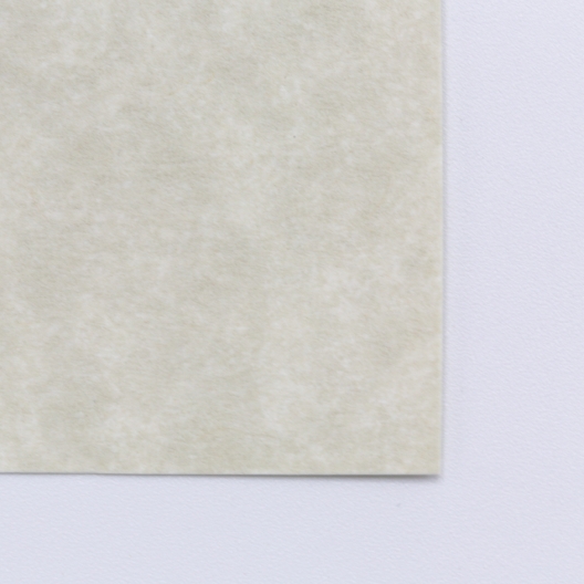 Astroparche Text Natural 8-1/2x11 24lb/90g 500/pkg | Paper, Envelopes ...