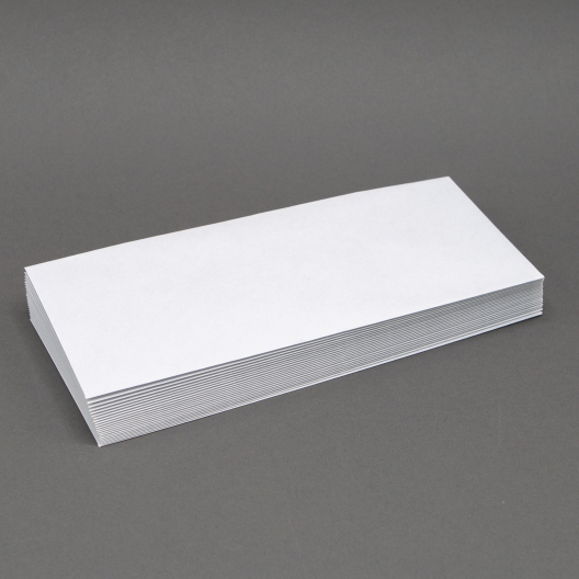 Security Tint #10 24lb Regular 500/box | Paper, Envelopes, Cardstock ...