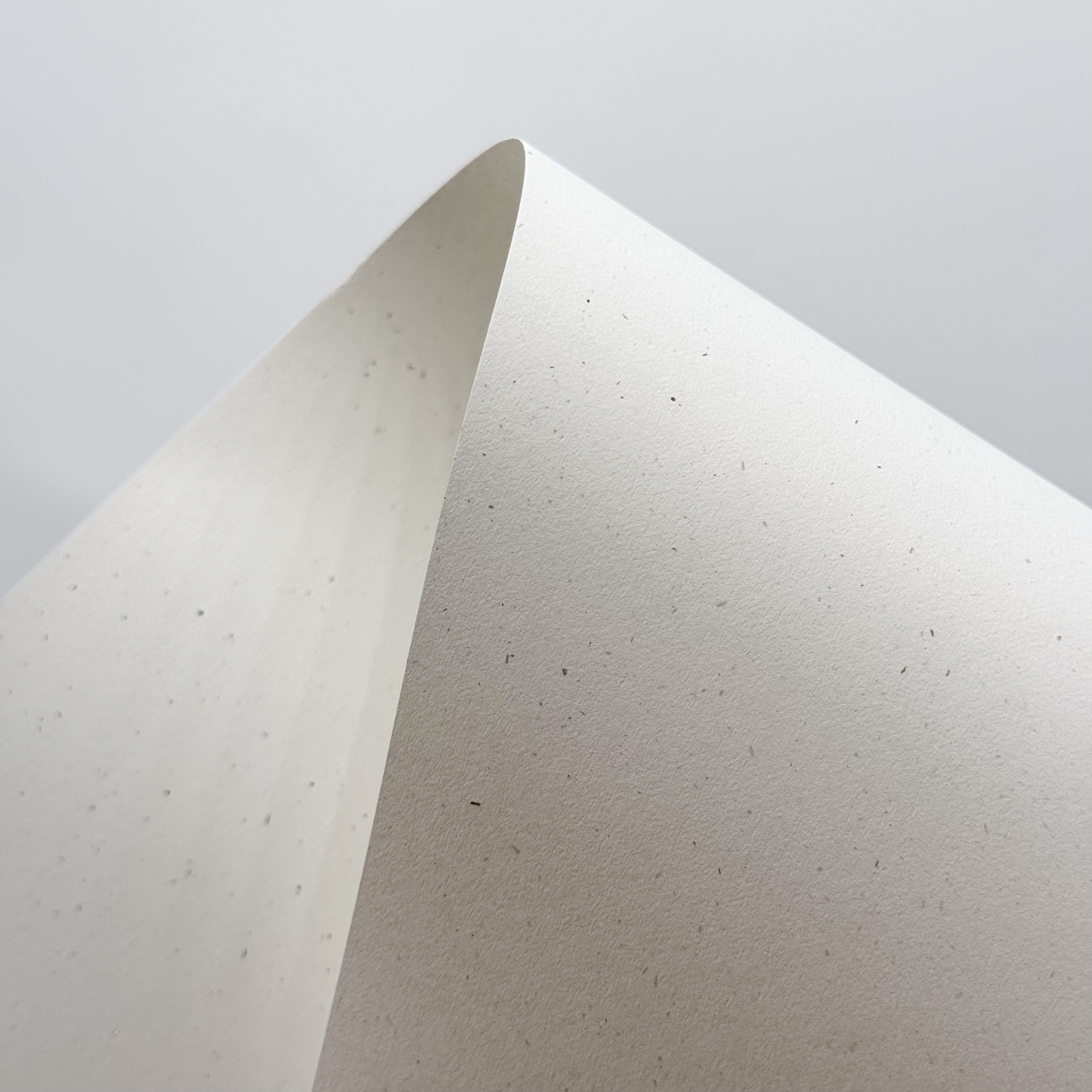 CLOSEOUTS Environment Birch 24lb/90g Paper 8-1/2x11 500/pkg | Paper ...