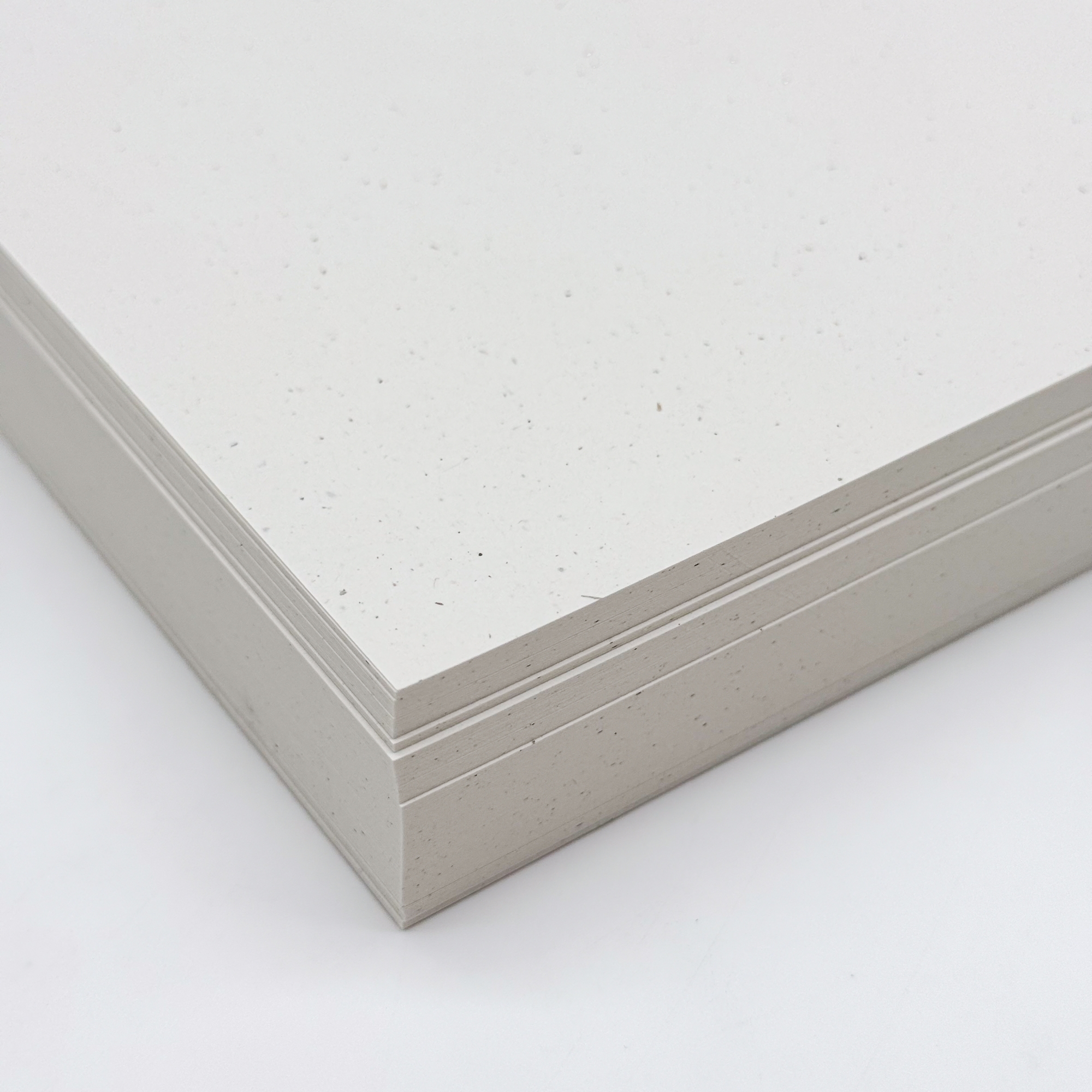 CLOSEOUTS Environment Birch 24lb/90g Paper 8-1/2x11 500/pkg | Paper ...