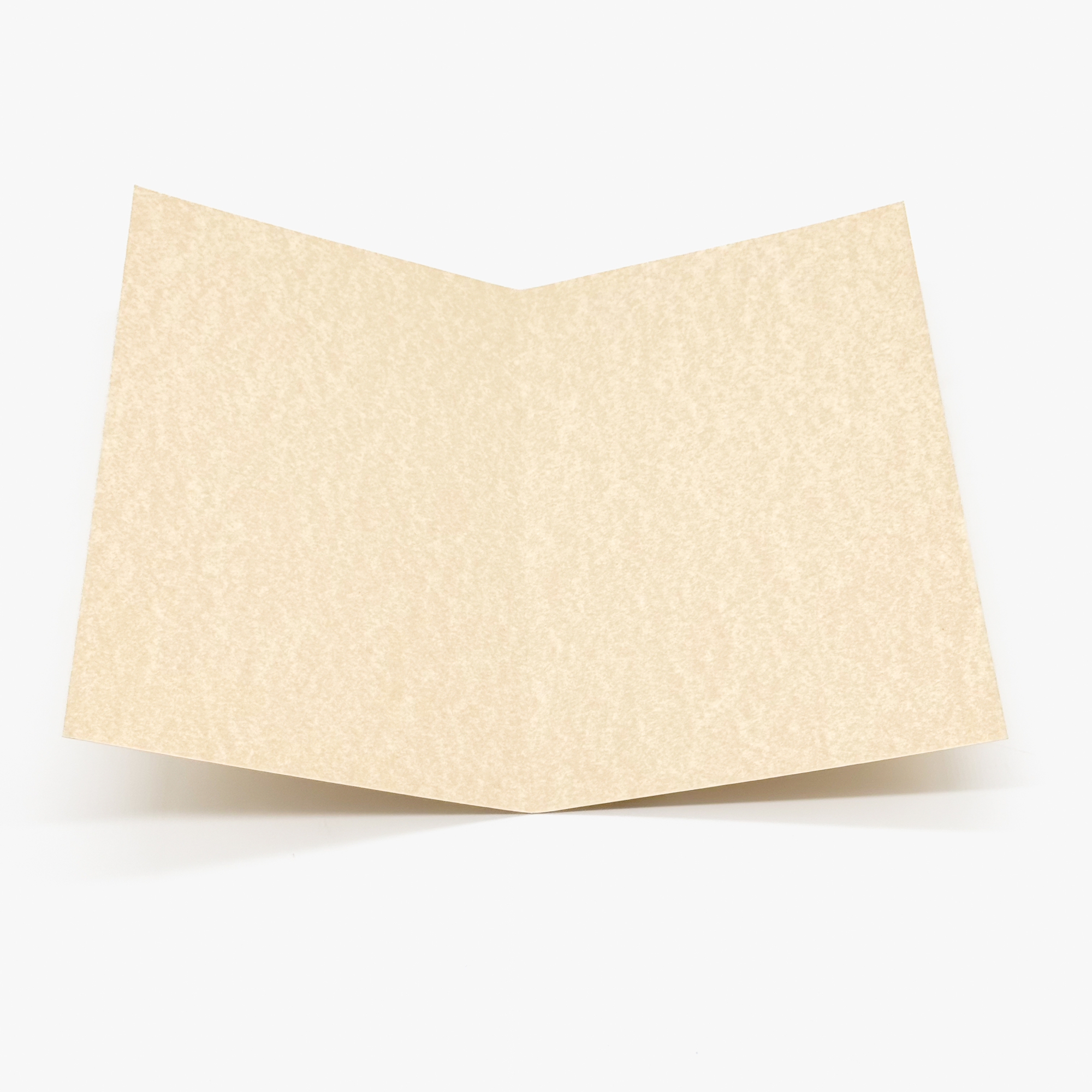Astroparche Aged 8-1/2x11 Horizontal Pre-Scored 65lb/176g Cardstock 125 ...